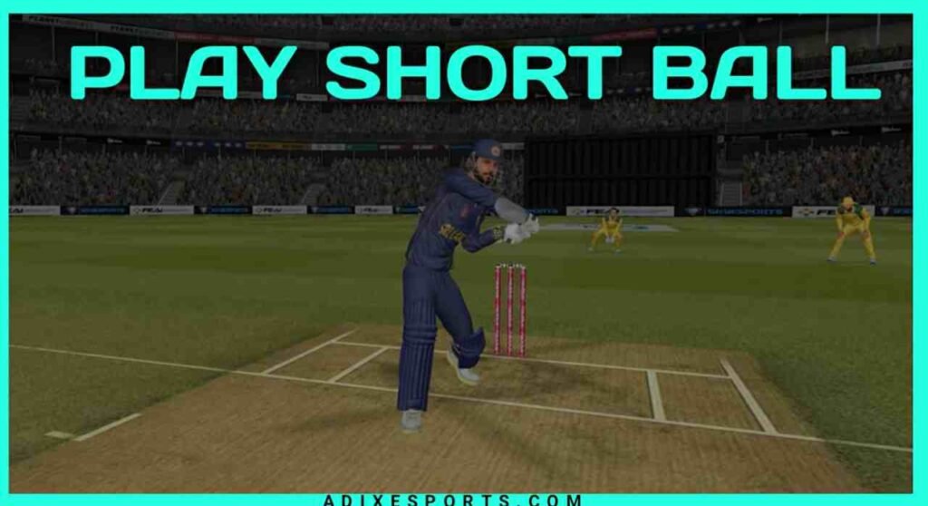 Cricket 22 Keyboard Controls & settings For PC » ADIX ESPORTS
